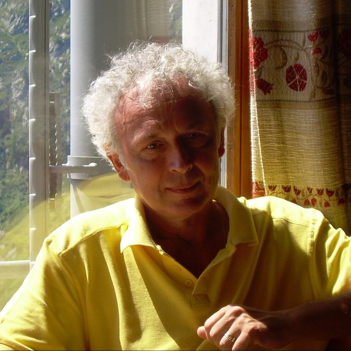 Marcel Costea - Noorlander Orgels